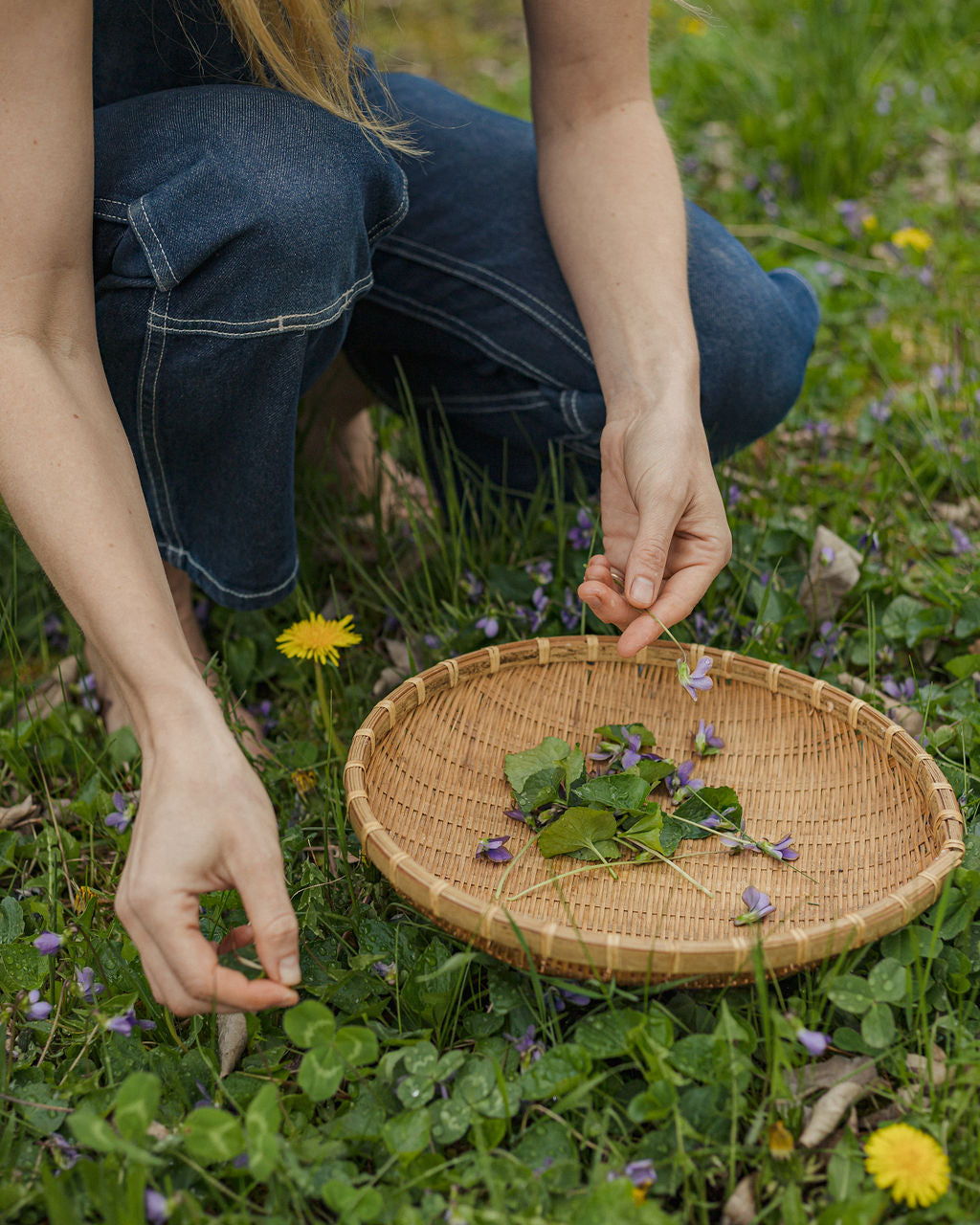 Bitters, The Liver, and 4 Principles for Spring Wellness – Fat of the Land